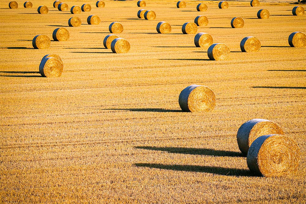 C2X - News and Insights